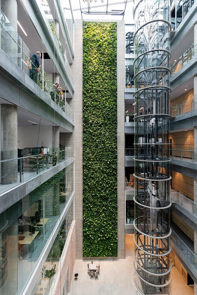 Denmark's highest green wall - 30 green meters - Natural Greenwalls