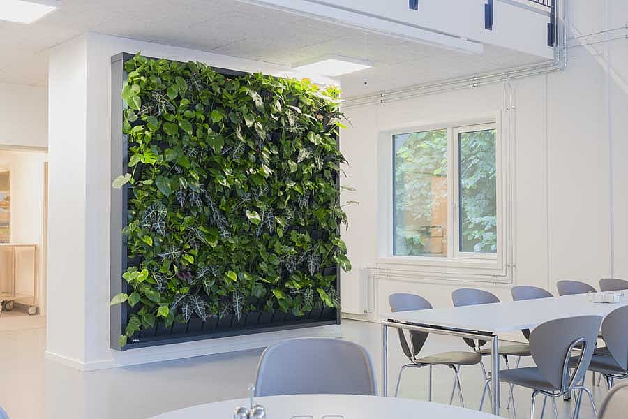 NOVASOL: Mobile plant walls gives a break - Natural Greenwalls