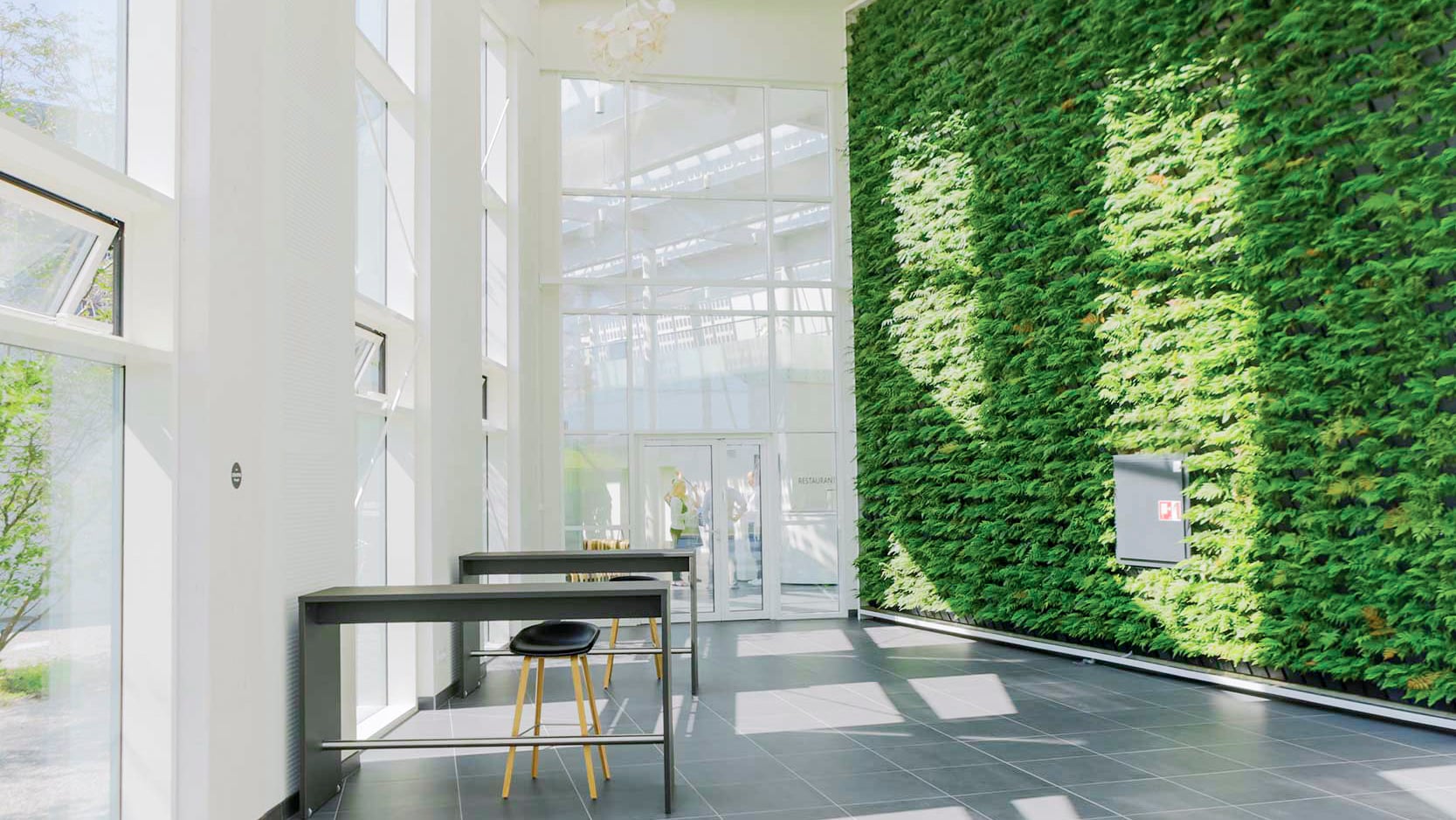 Green Solution House - Natural Greenwalls
