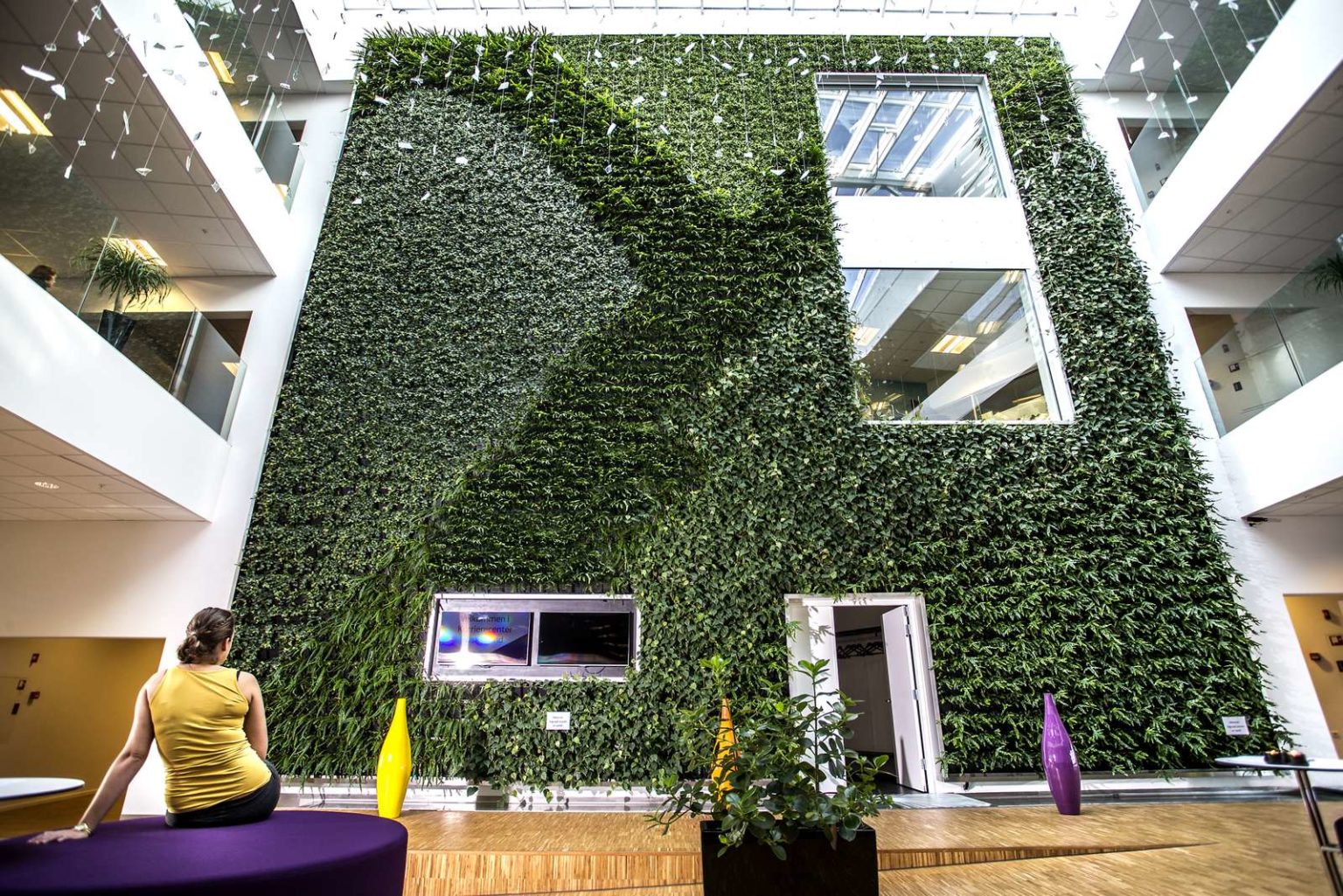 Green wall made sustainable & professional | Living plant walls